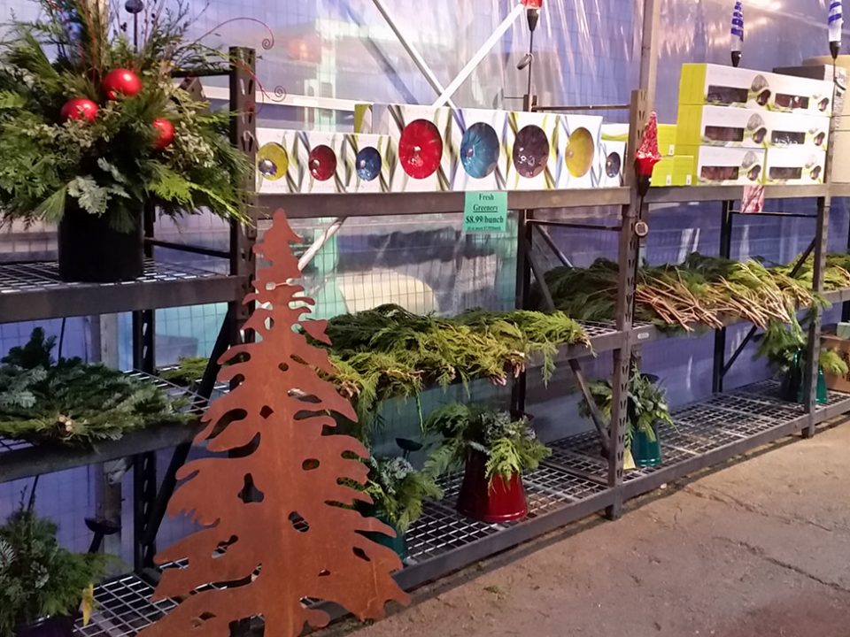 Home - Plantation Garden Centre